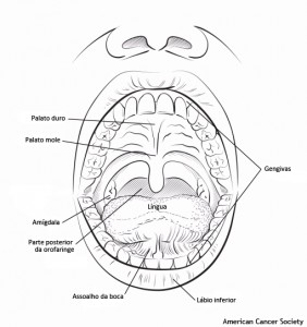Presença de HPV na boca eleva o risco de cânceres de cabeça e pescoço – SBM