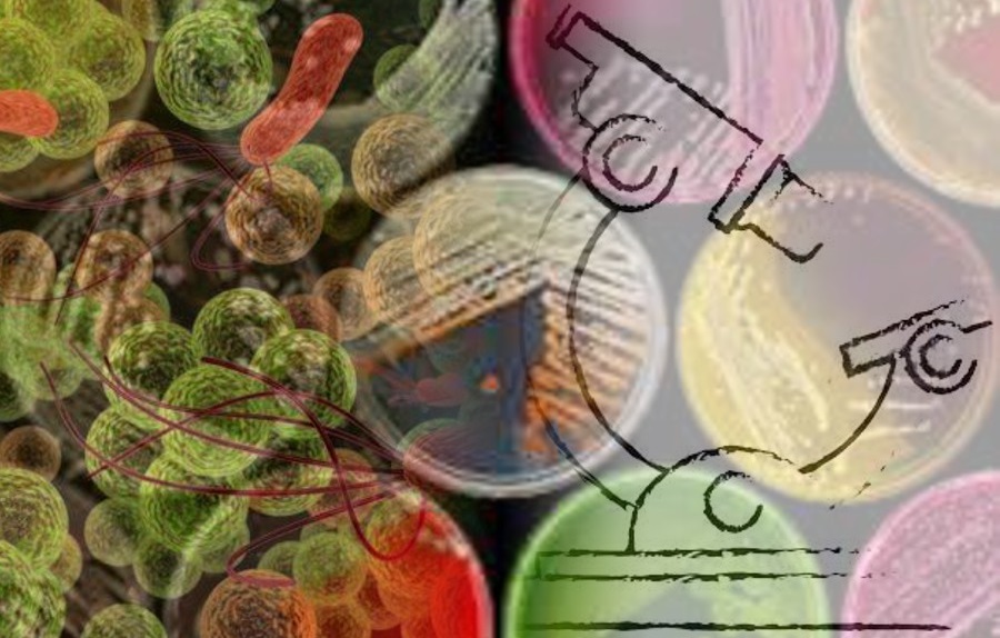 Microbiologia Clínica – SBM
